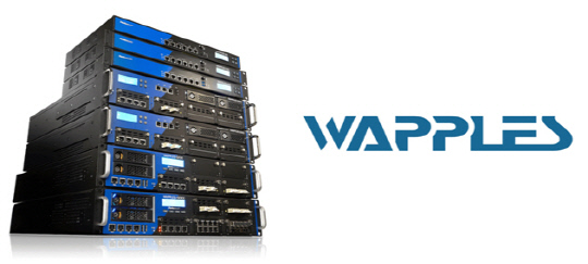 API 시대 웹 애플리케이션 보안 솔루션 'WAAP'